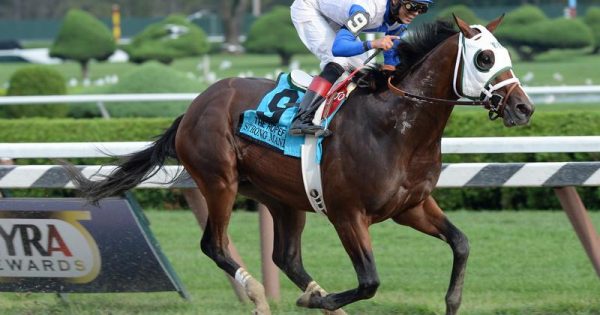Strong Mandate to stand at Three Chimneys - Three Chimneys Farm