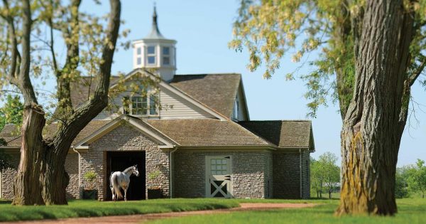 Three Chimneys announces 2021 roster and fees - Three Chimneys Farm