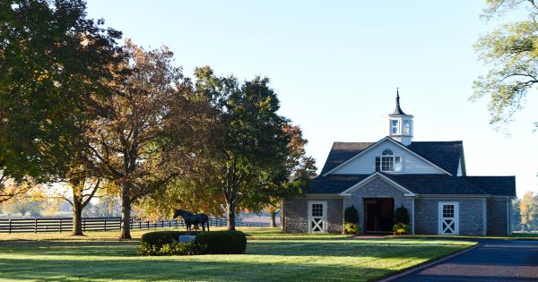 Contact Three Chimneys - Three Chimneys Farm