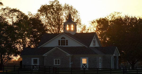 ENTRIES & RESULTS - Three Chimneys Farm