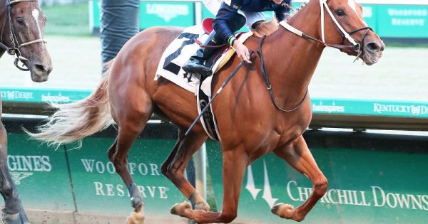 Undefeated Gun Runner filly digs deep to win stakes debut - Three ...