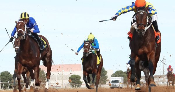 Inside move gives Gun Runner filly second stakes in a row - Three ...