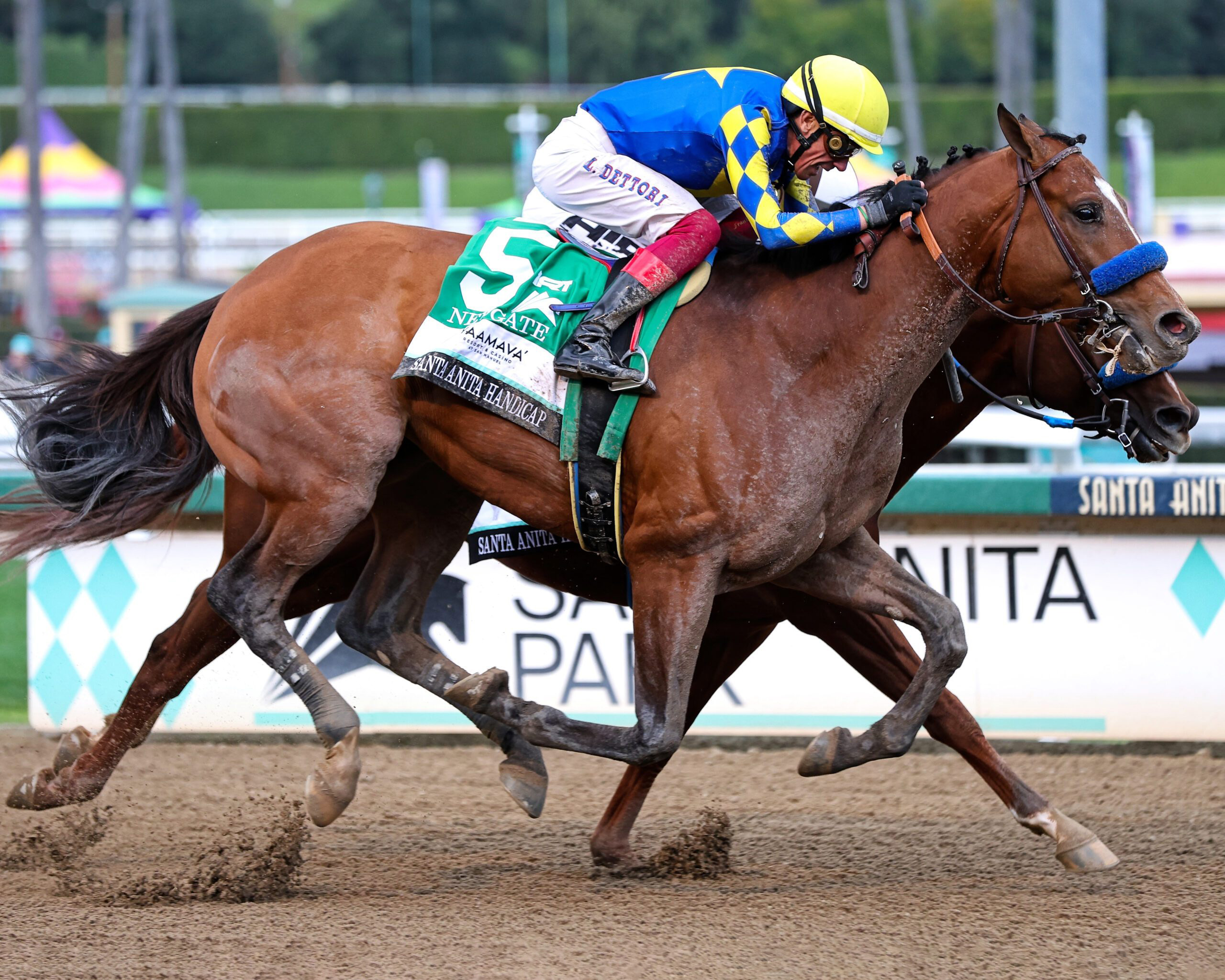 Stallions - Three Chimneys Farm