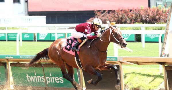 Gunite full-brother Spice Runner shines on debut - Three Chimneys Farm